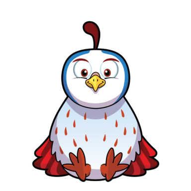 Quick Quail Collection | VeeFriends Shop