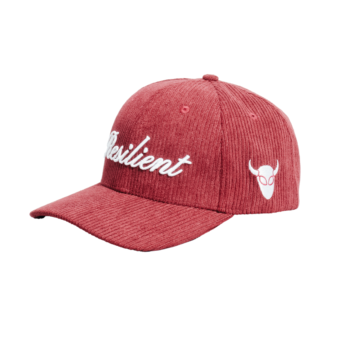 "Resilient" Red Devil Cap in Crimson Corduroy - SOLD OUT – VeeFriends